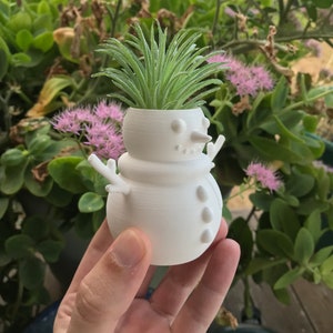 Festive 3D Printed Snowman Planter: Air Plant & Succulent Holder ...