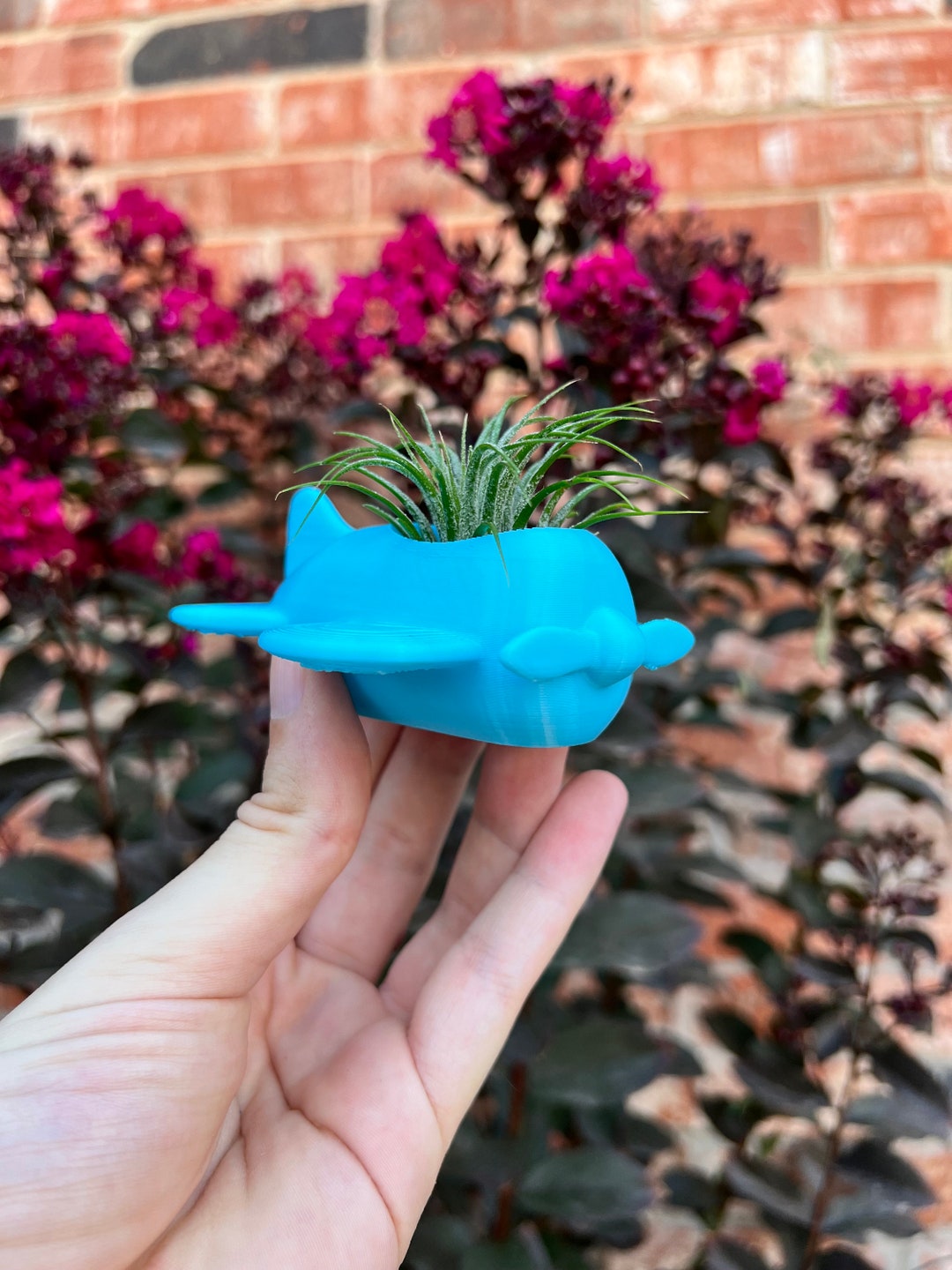 3D Printed Airplane Air Plant Holder: Indoor Succulent Planter With ...