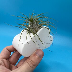 Cloud Succulent Planter | Home Decor | Modern Planter | 3D Printed With ...