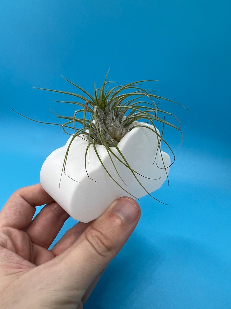 Cloud Succulent Planter Home Decor Modern Planter 3D - Etsy