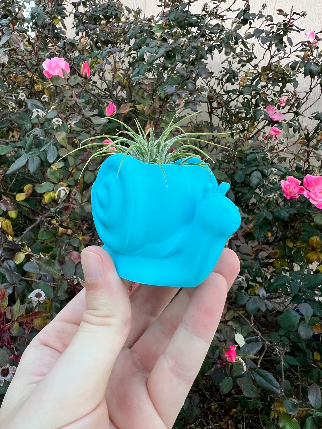 Snail Succulent Planter | Home Decor | Modern Planter | 3D Printed With ...