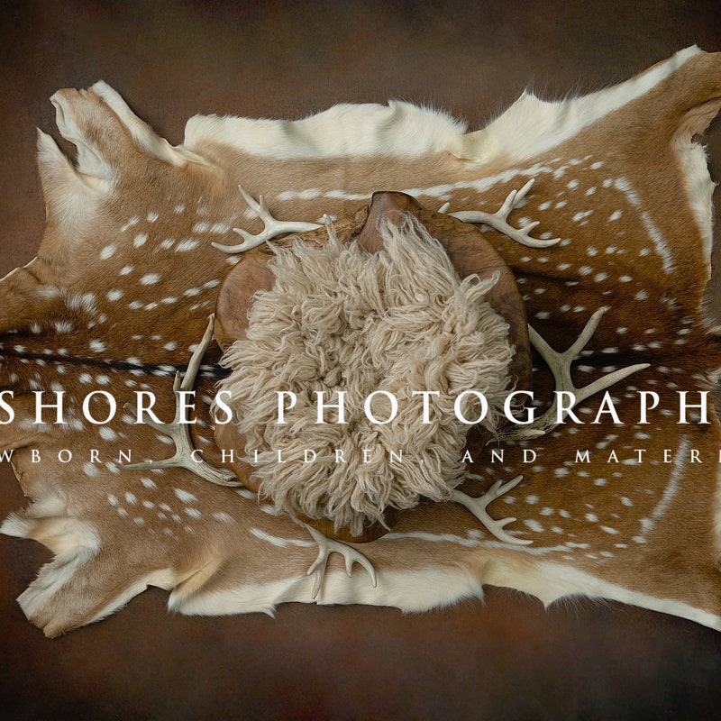 Newborn Western Backdrop - Etsy