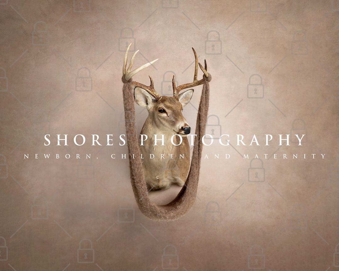 Newborn Digital Backdrop, Digital Newborn Backdrop, Newborn Background ...