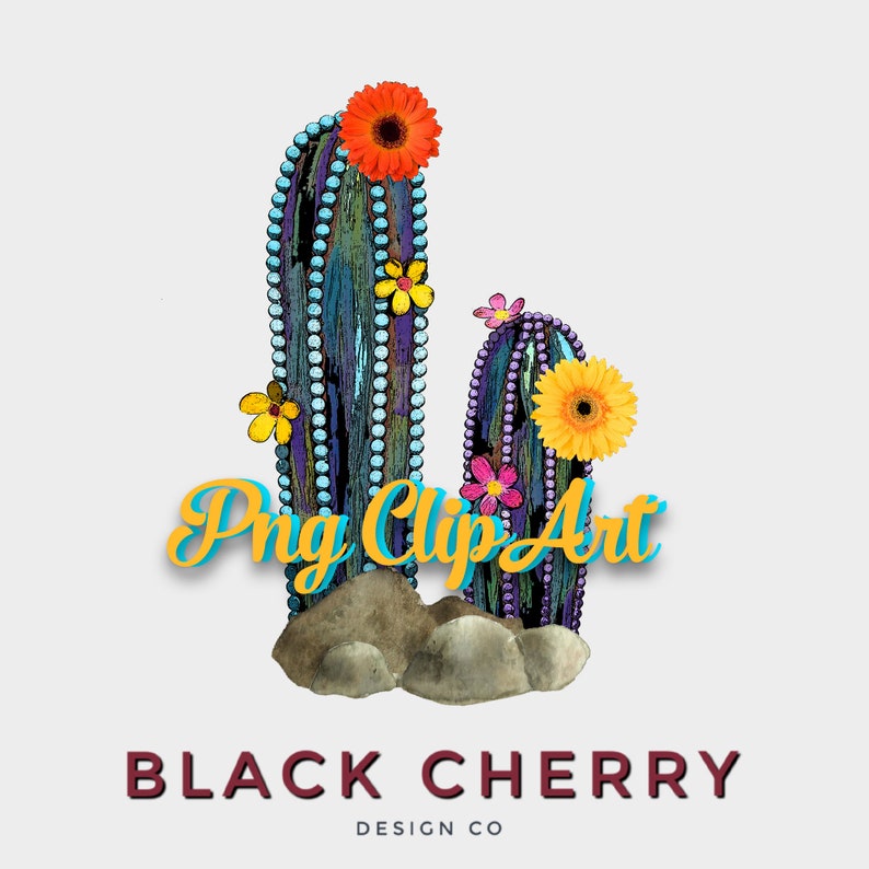 Funky Cactus PNG Clipart Set of 2 Clipart PNG Cacti Instant - Etsy