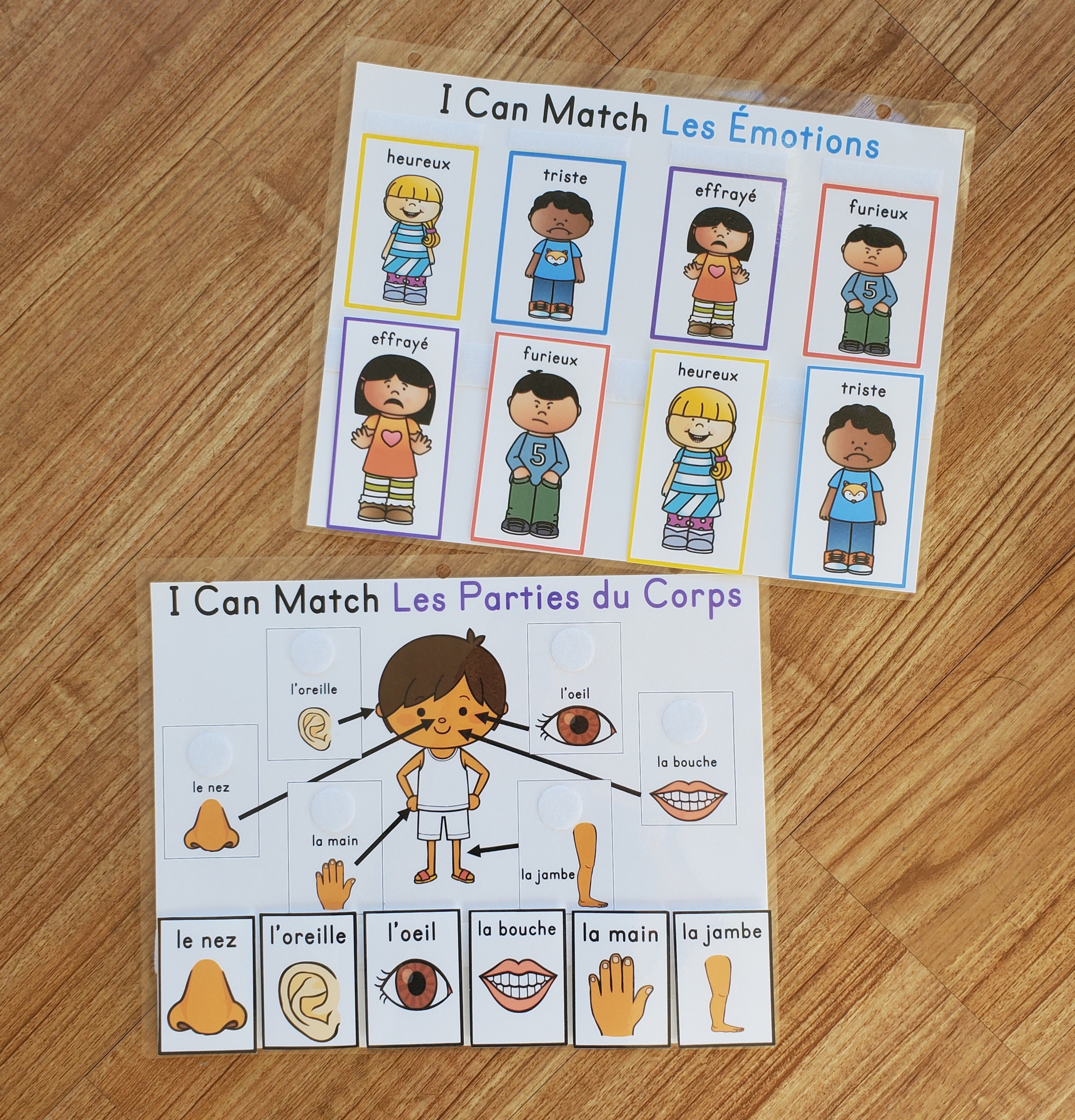 French Learning Binder - Etsy