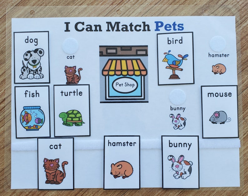 Pet Matching Activity Page Early Childhood Preschool Pre-k | Etsy