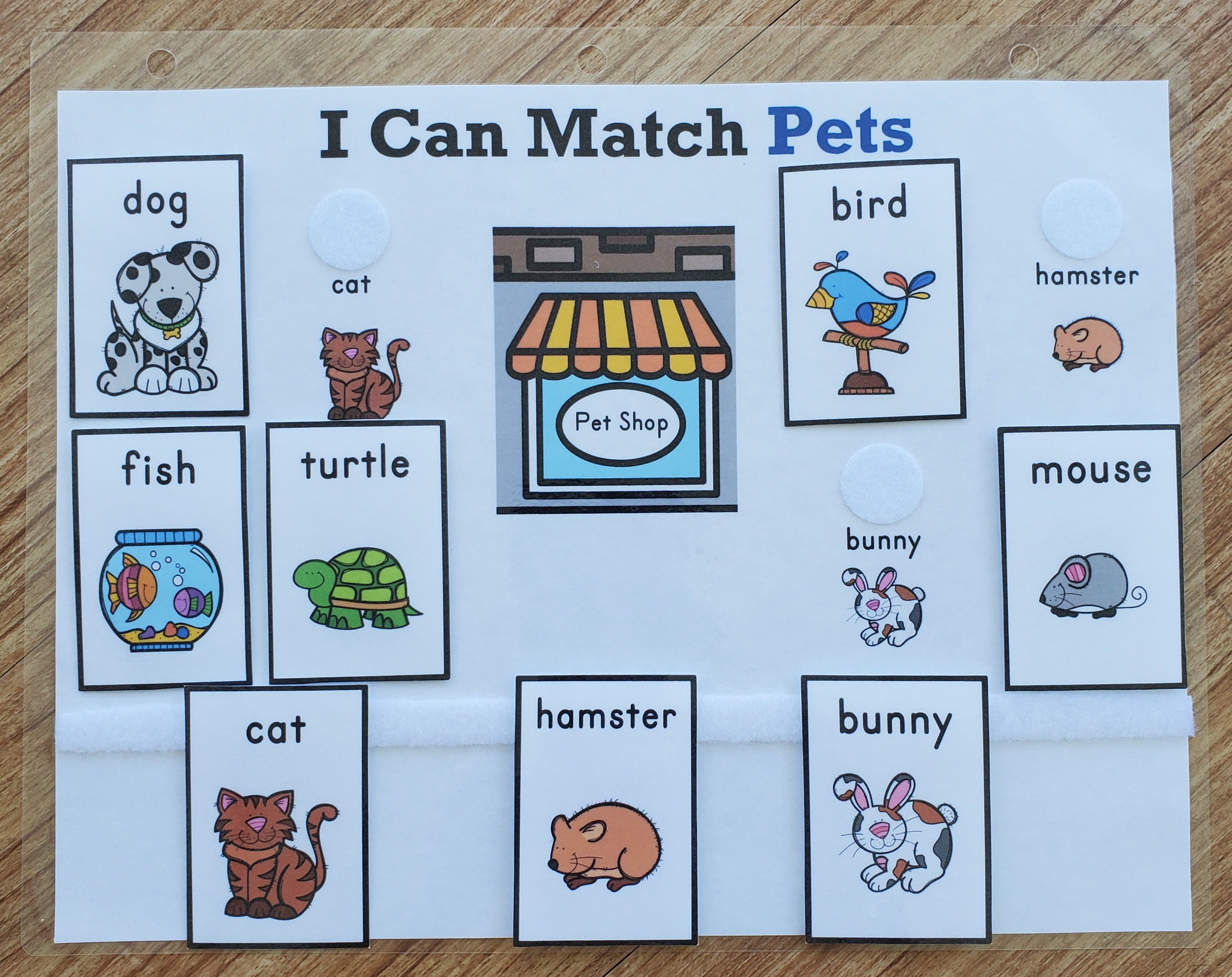 Pet Matching Activity Page Early Childhood Preschool Pre-k - Etsy