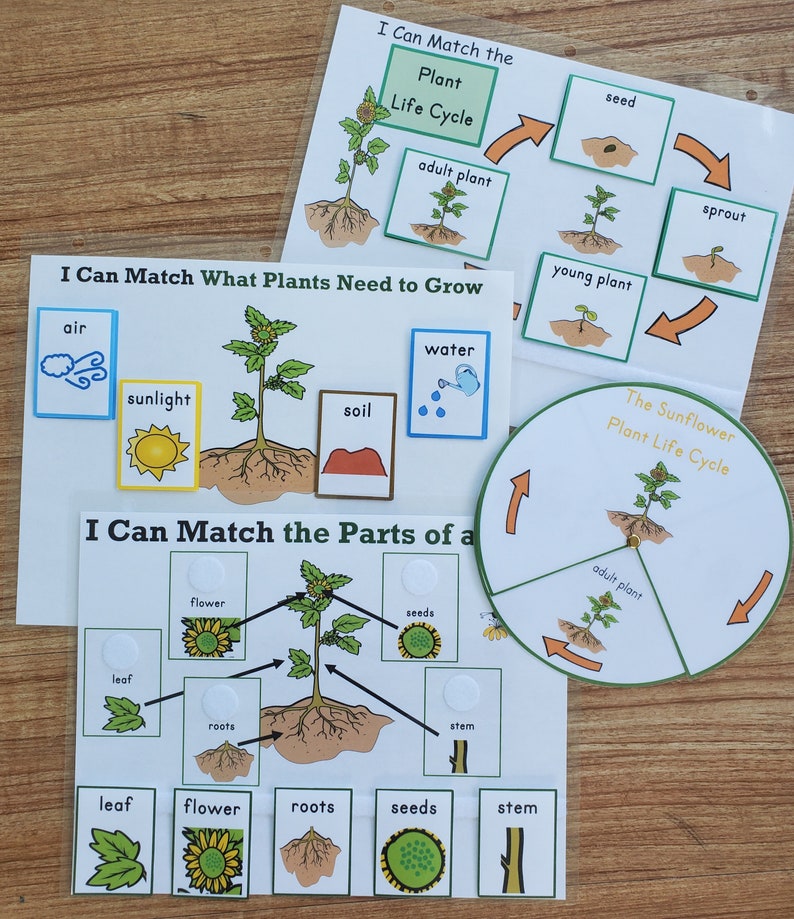 All About Plants Learning Bundle - Etsy