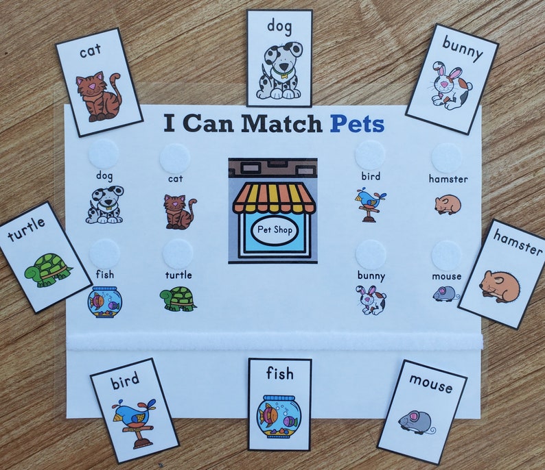 Pet Matching Activity Page Early Childhood, Preschool, Pre-k ...