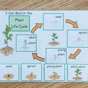 All About Plants Learning Bundle - Etsy