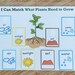 All About Plants Learning Bundle - Etsy