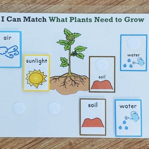 All About Plants Learning Bundle - Etsy