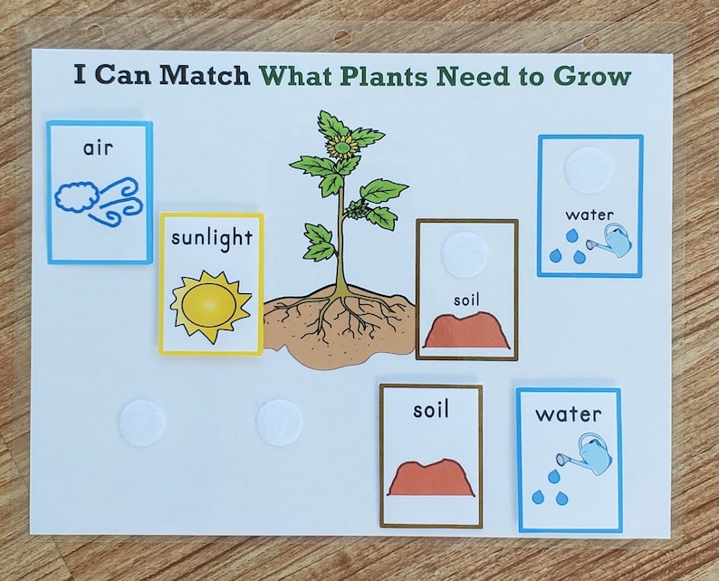 All About Plants Learning Bundle - Etsy