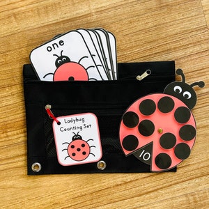 Ladybug Counting Set Preschool, Pre-k, Kindergarten - Etsy