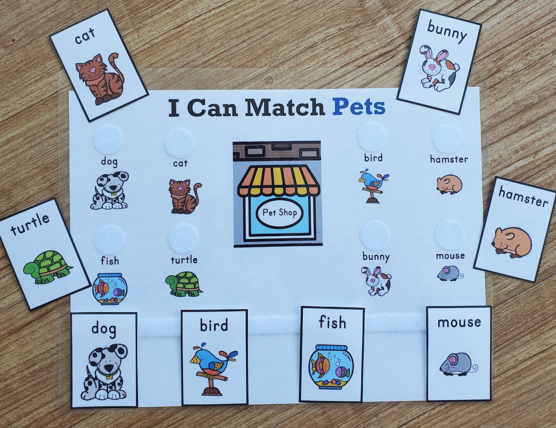 Pet Matching Activity Page Early Childhood Preschool Pre-k | Etsy
