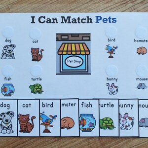 Pet Matching Activity Page Early Childhood, Preschool, Pre-k ...