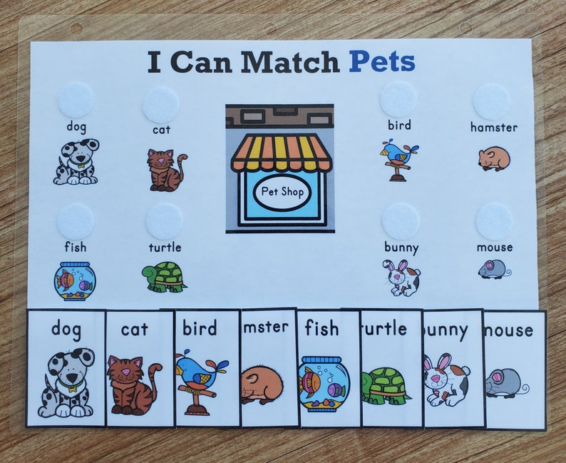 Pet Matching Activity Page Early Childhood, Preschool, Pre-k ...