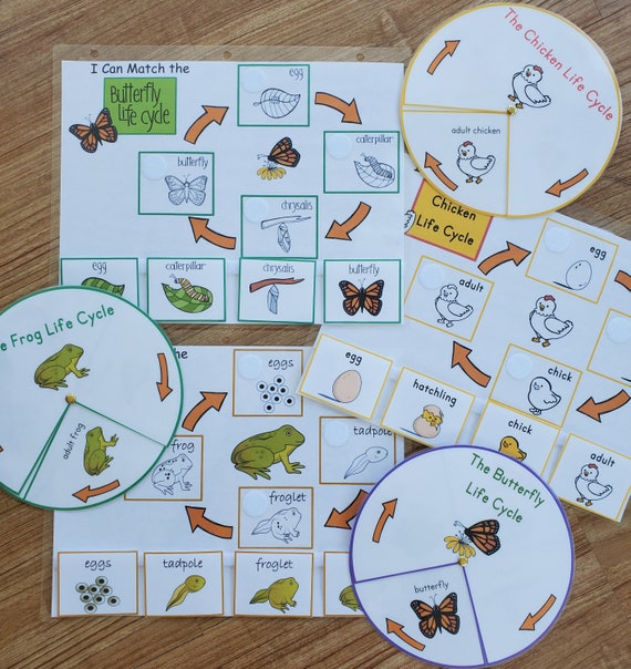 Life Cycles Bundle - Etsy