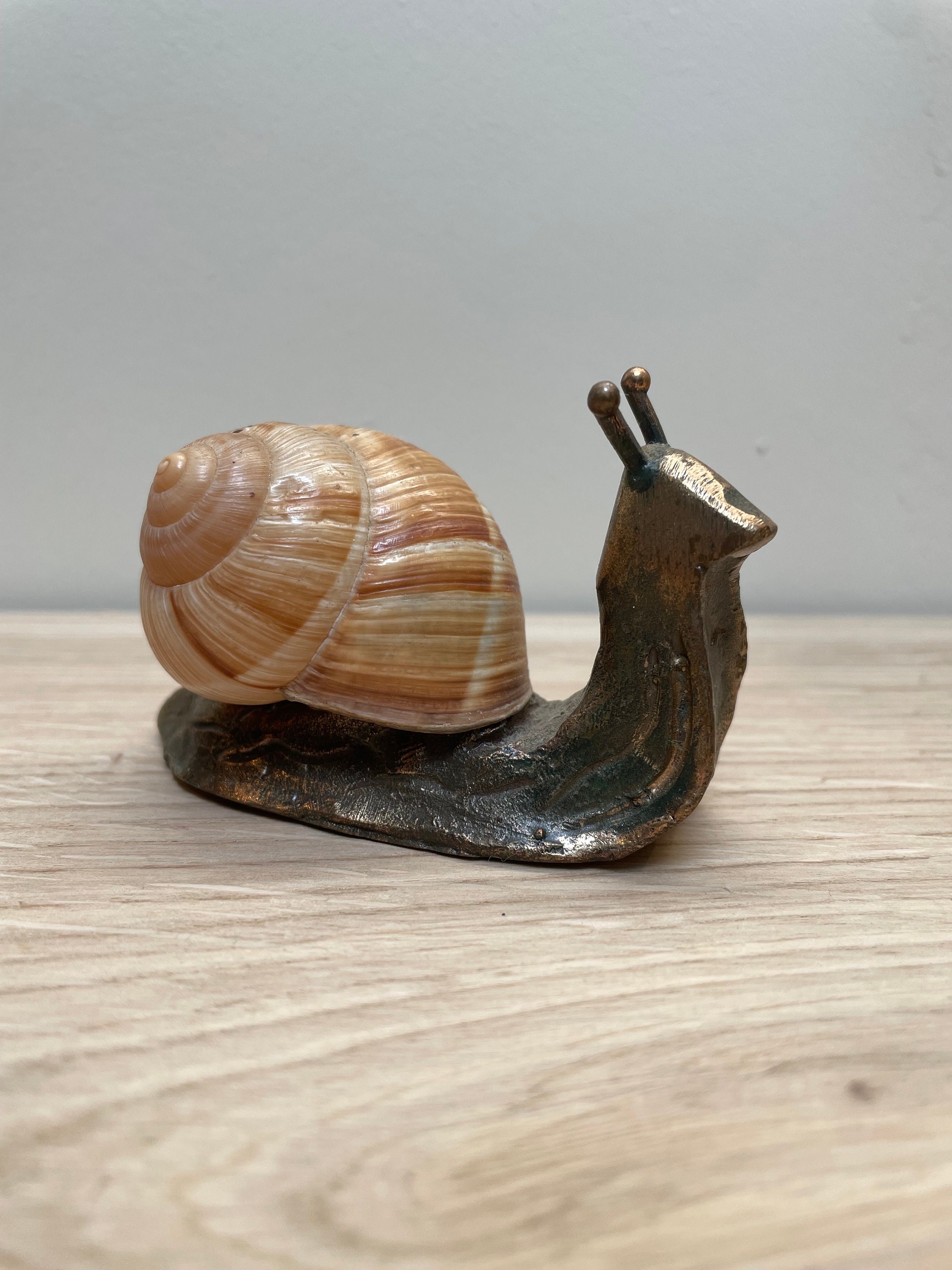 Beautiful Bronze Real Life Size Statue of A Snail With Real House. - Etsy