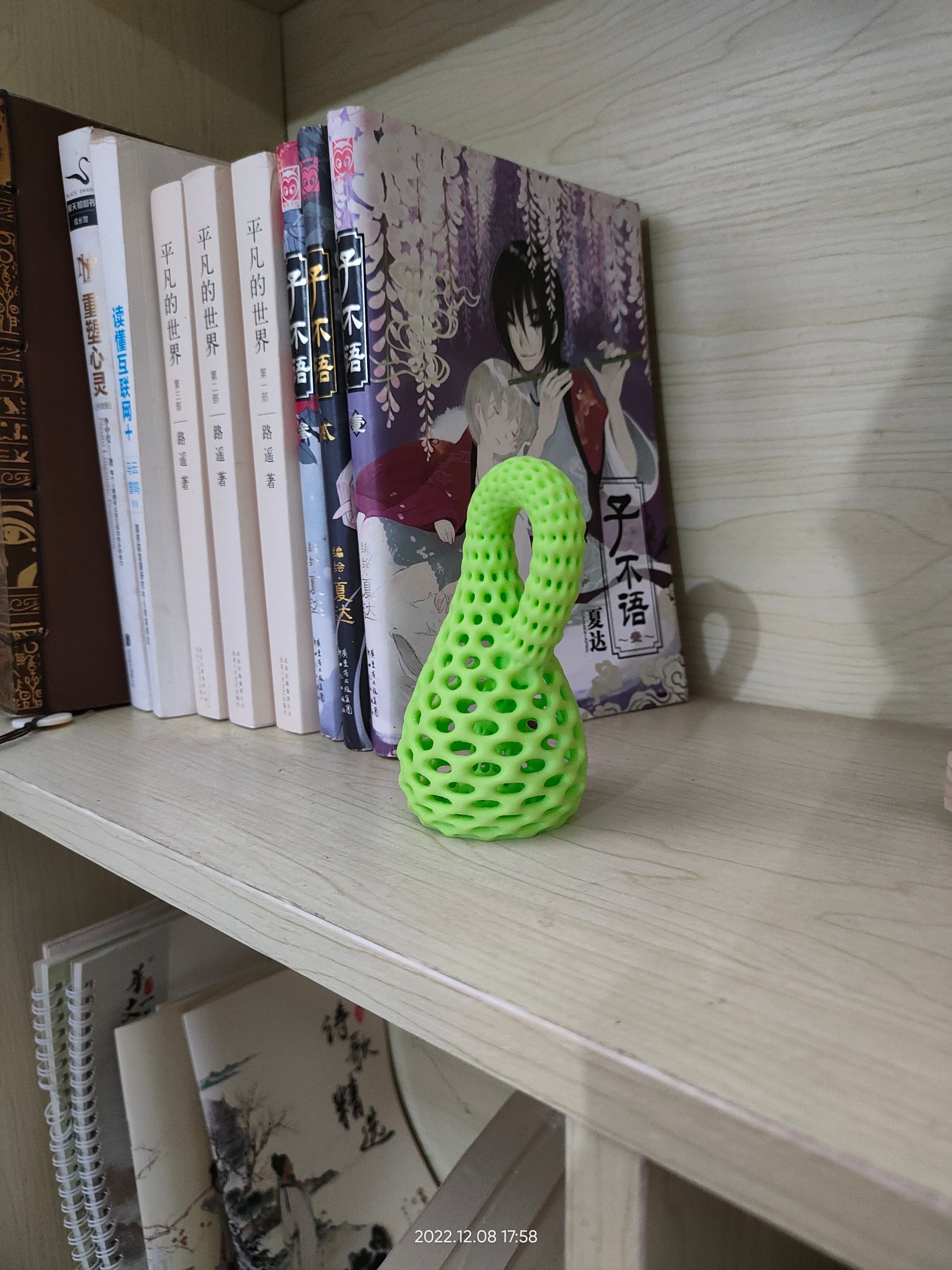 Klein Bottle Math Art Abstract Gifts, Home and Office 3D Printed ...