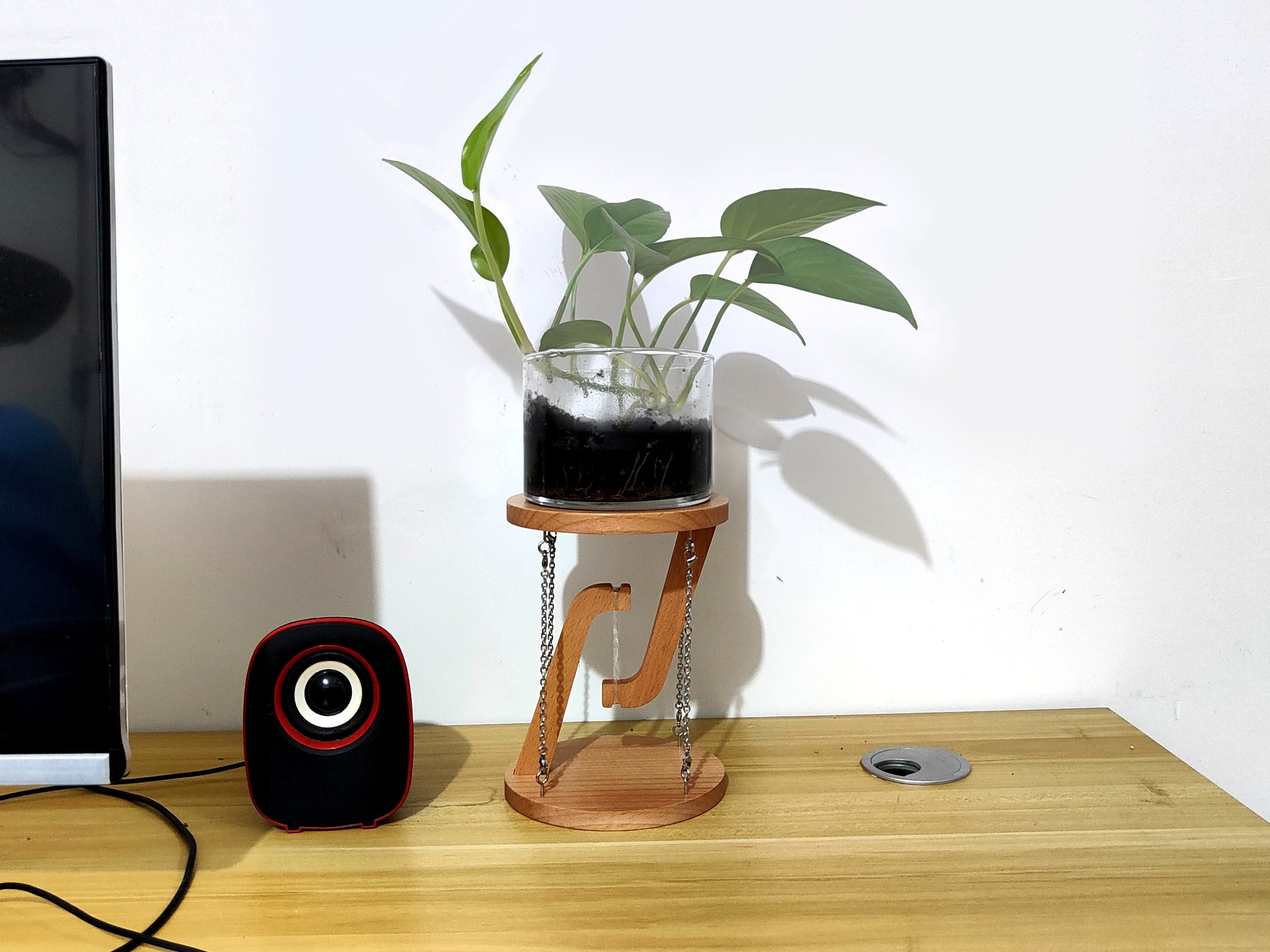 Tensegrity Beech Wood Plant Stand: Floating Flower Pot Holder - Etsy