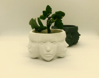 Multi Face Planter - Etsy