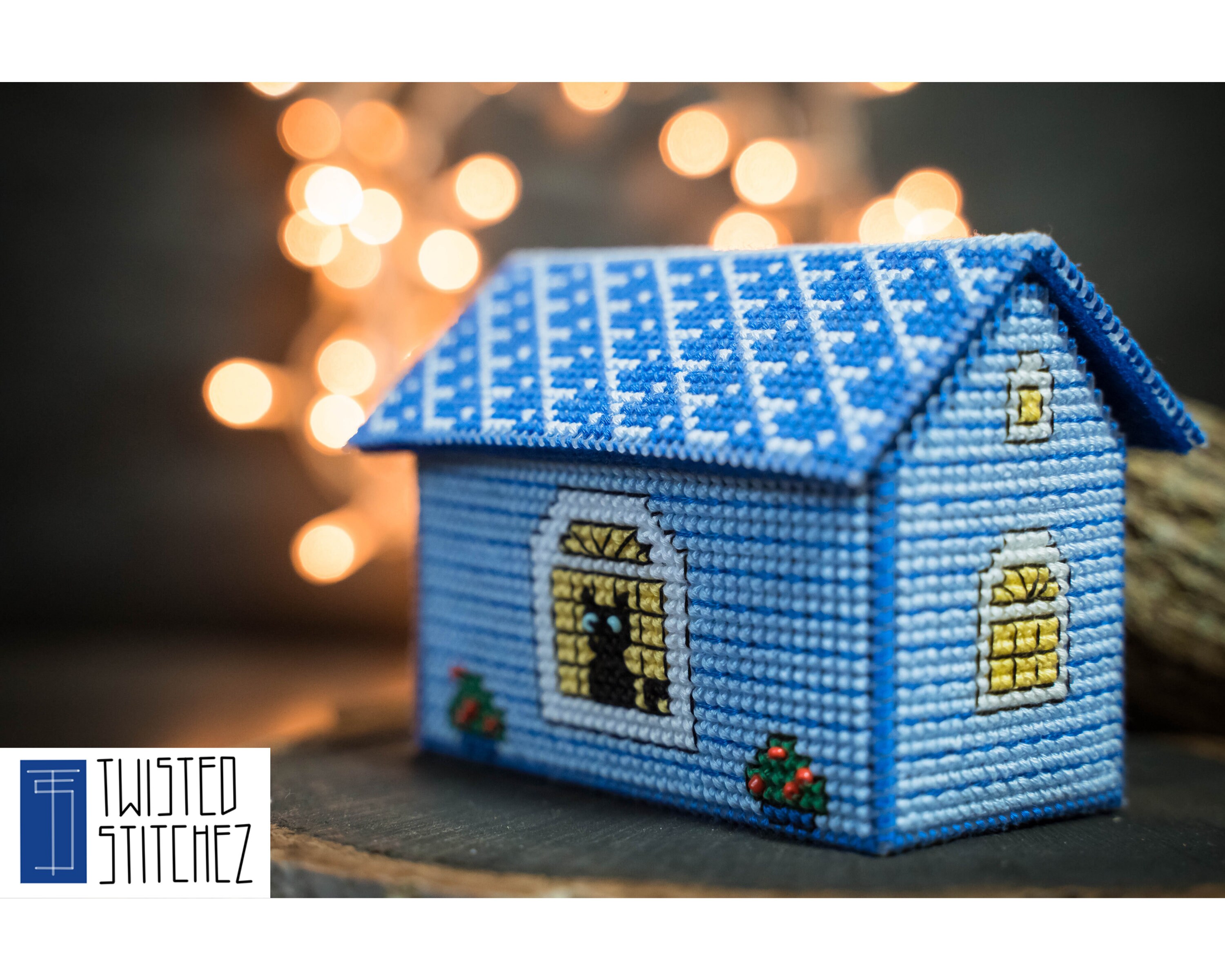Plastic Canvas House Shaped Box Pattern, Cute Blue House With Cat on ...