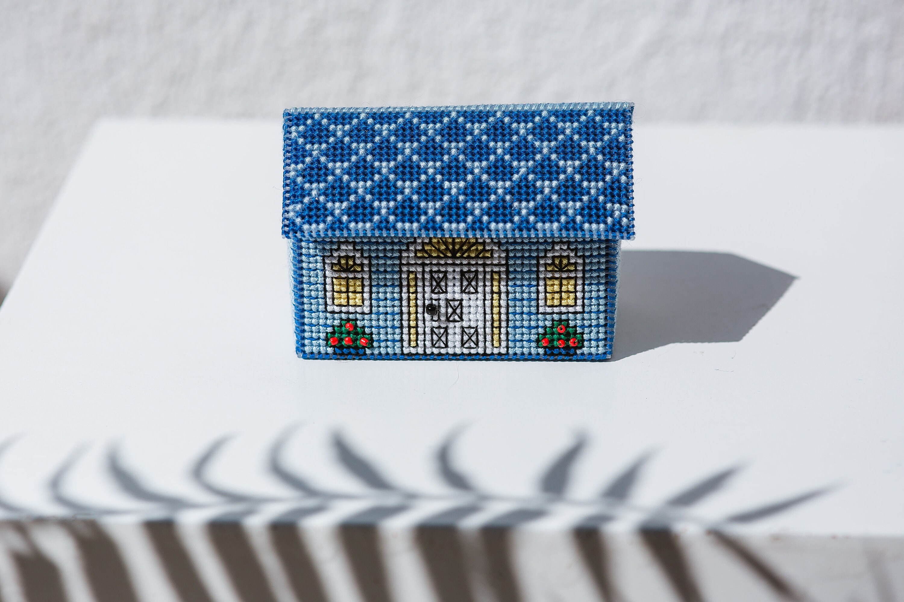 Plastic Canvas House Shaped Box Pattern, Cute Blue House With Cat on ...