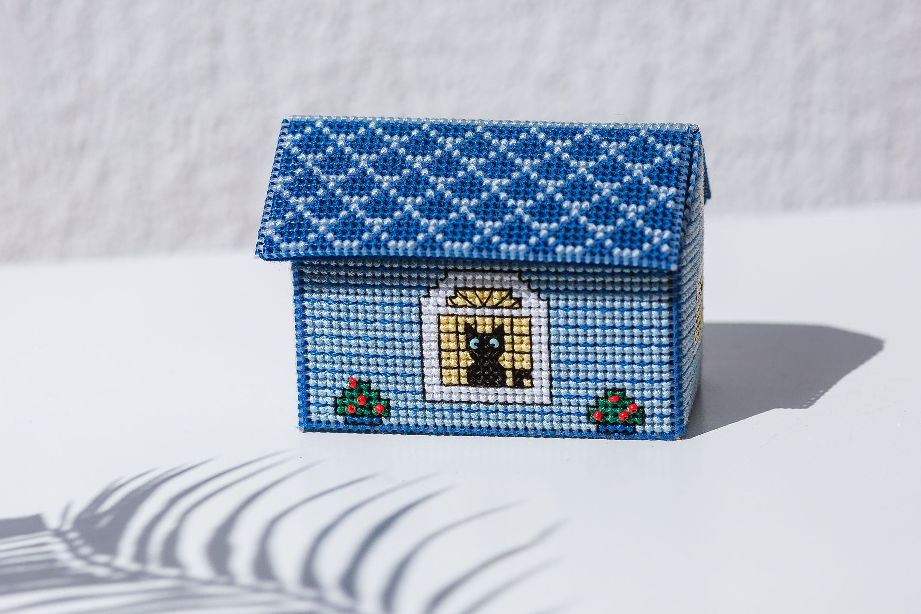Plastic Canvas House Shaped Box Pattern, Cute Blue House With Cat on ...