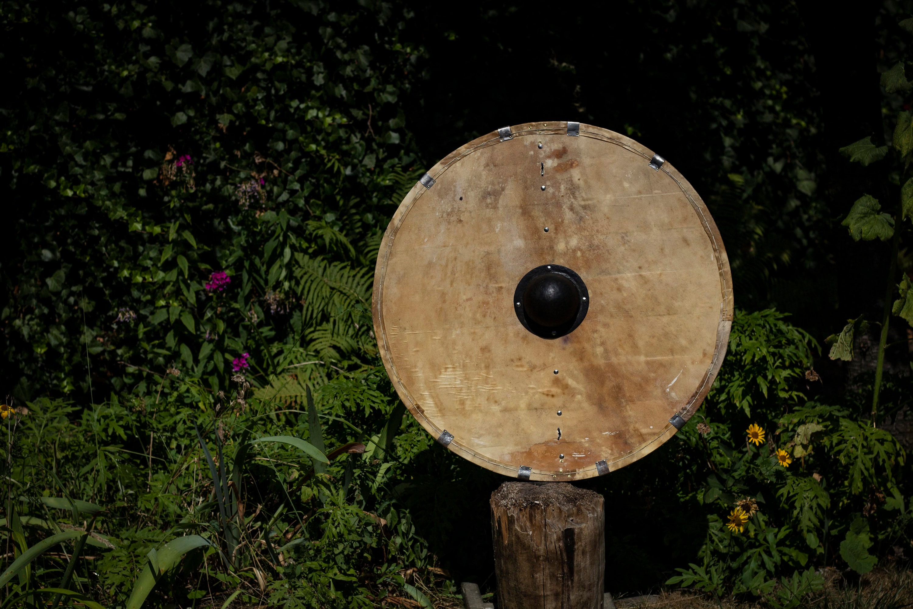 Viking Shield, Rawhide Faceing, Early Mediaval Reenactment - Etsy