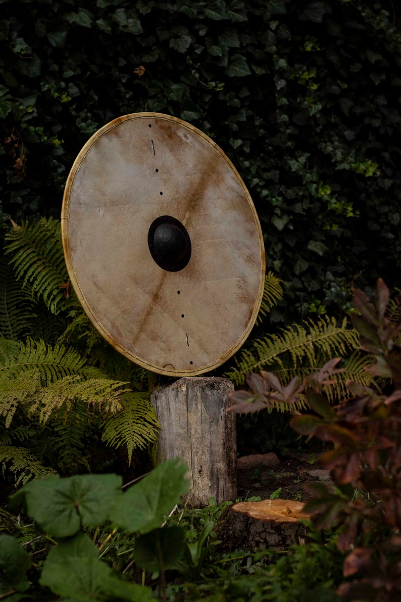 Viking Shield, Rawhide Faceing, Early Mediaval Reenactment - Etsy