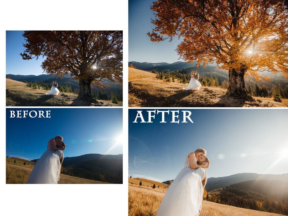 Exclusive Professional Desktop Lightroom Presets Natural - Etsy