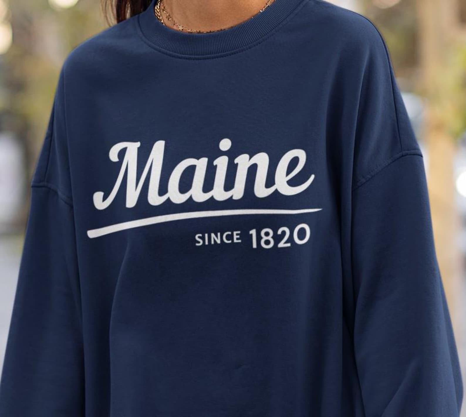 Maine Since 1820 Crewneck Sweatshirt Gift, State Pullover Souvenir - Etsy