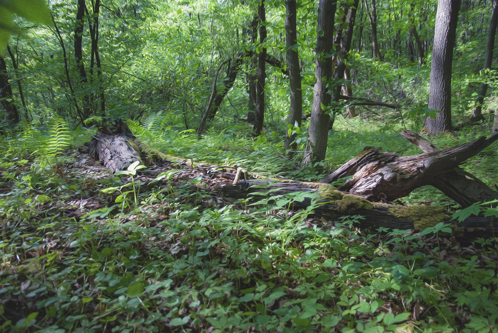Dead Tree in Forest - Printable Wall Art, Forest Atmosphere, Oil ...