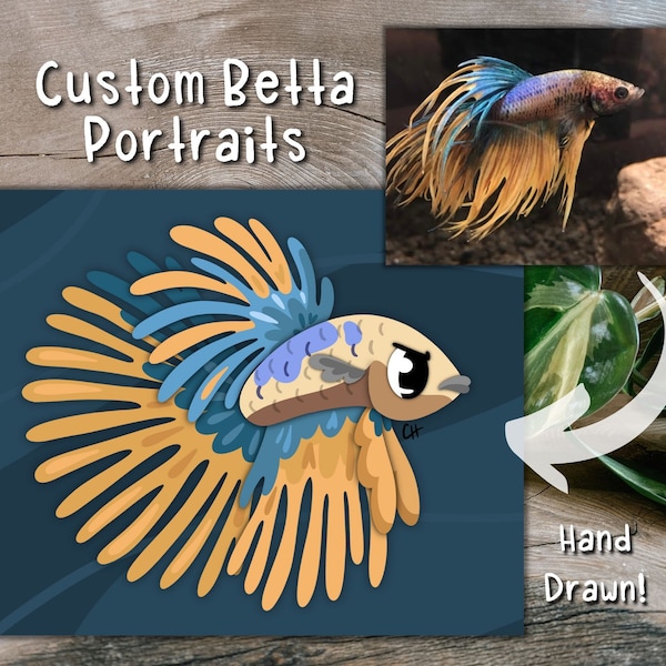 Betta Fish Art - Etsy