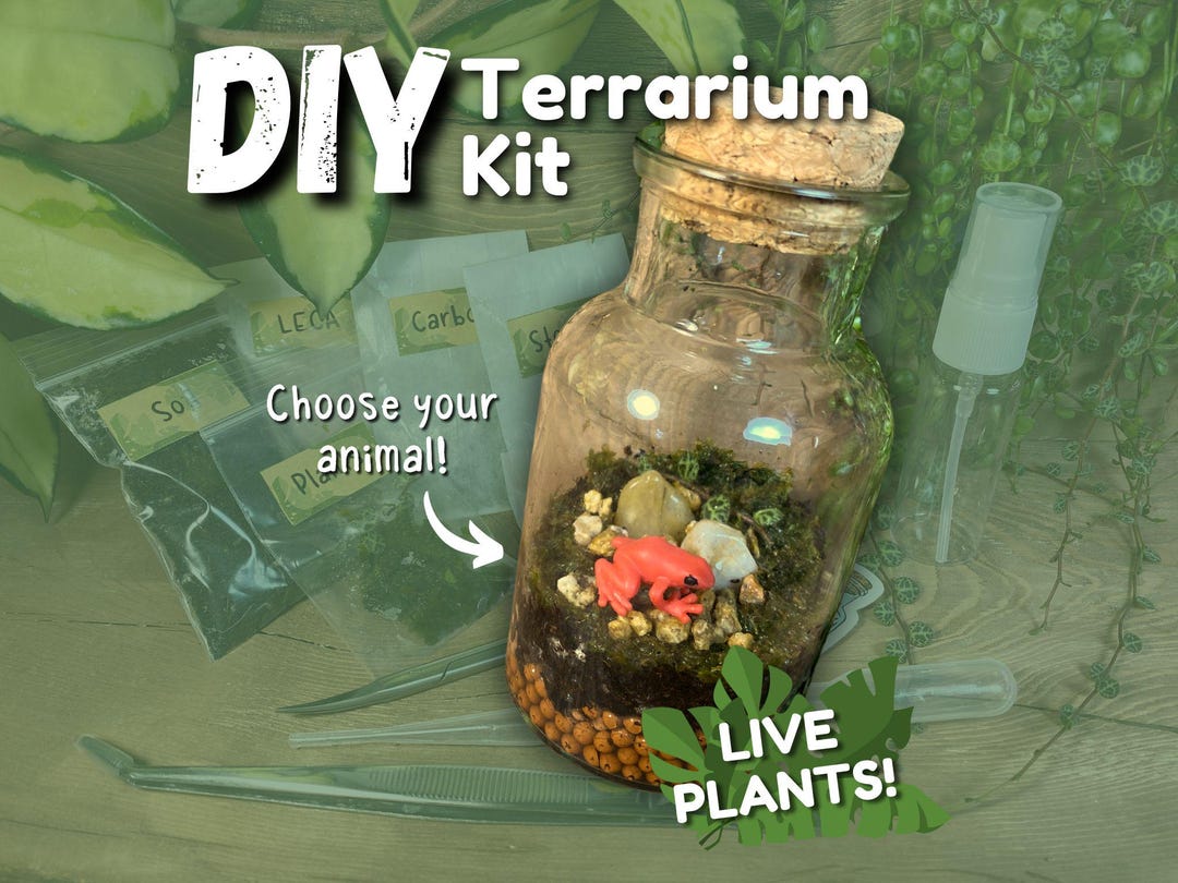 DIY Mini Terrarium Kit With Live Plants - Tiny Animal, Gift for Plant ...