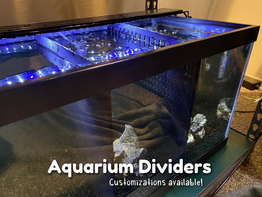 Acrylic Aquarium Dividers Customizable Betta & Fish Tank Separator ...