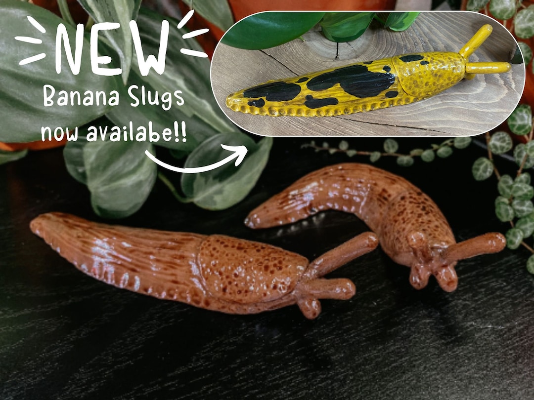 Slug Magnets and Figures Hand Made Clay Slugs Banana Slug Sculpture ...