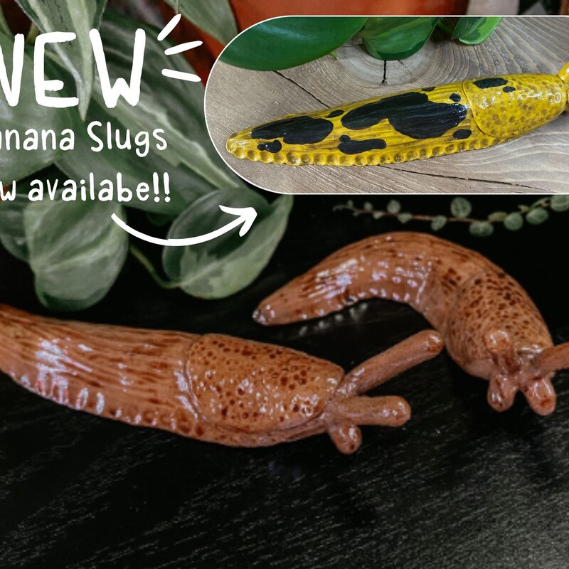Slug - Etsy