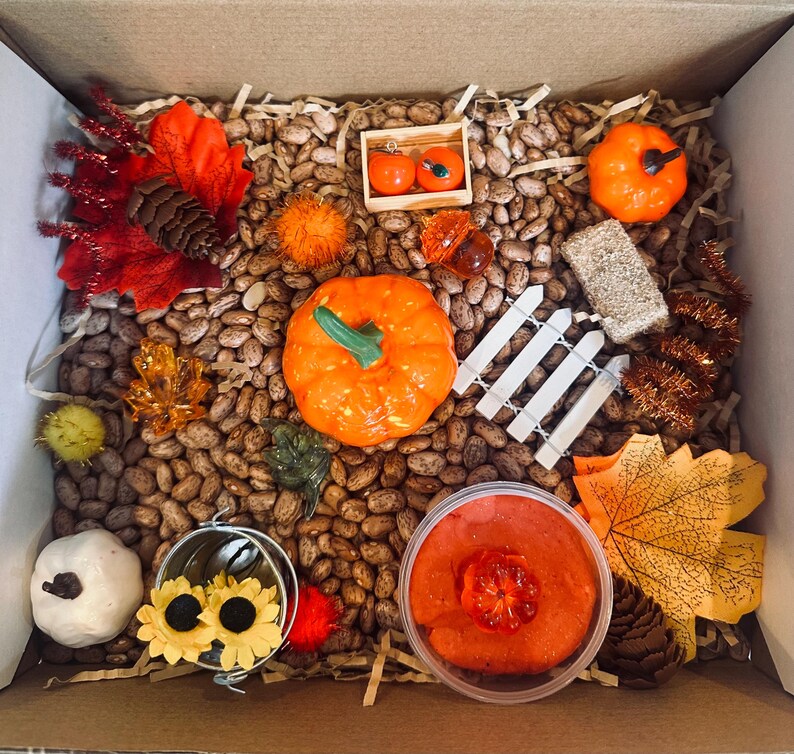 Fall Themed Sensory Box - Etsy