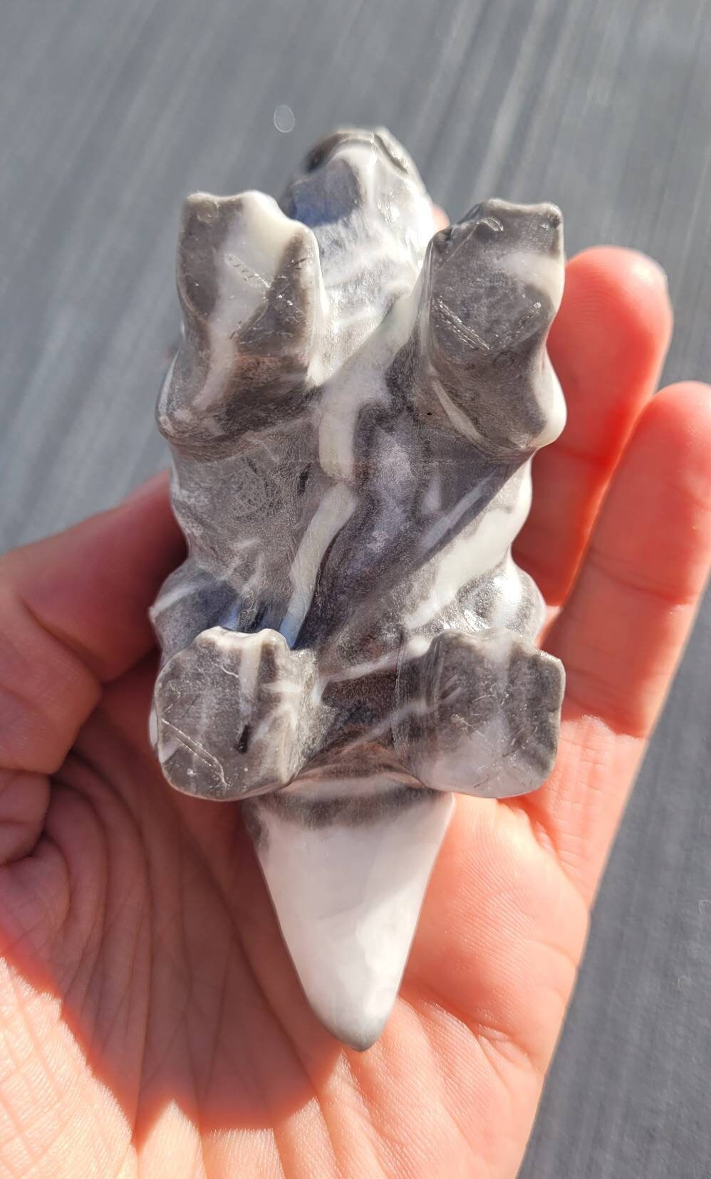 Shell Jasper Tricerarops Dinosaur Thousand Eye Jasper 1000 - Etsy