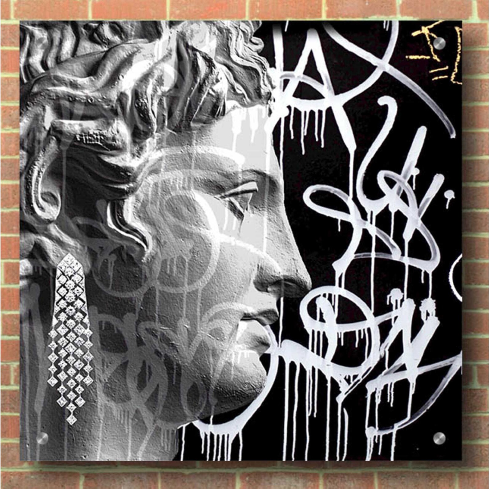 Acrylic Glass Wall Art 'graffiti Bust 2' by Karen - Etsy