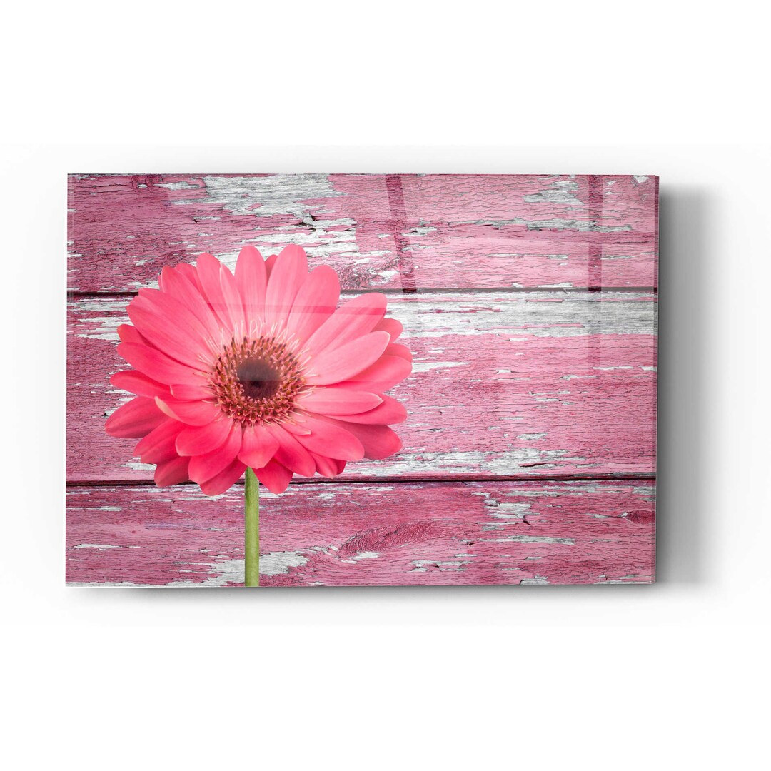 Acrylic Glass Wall Art pink Beginnings - Etsy