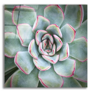 Acrylic Glass Wall Art 'edged in Red' by Jan Bell - Etsy