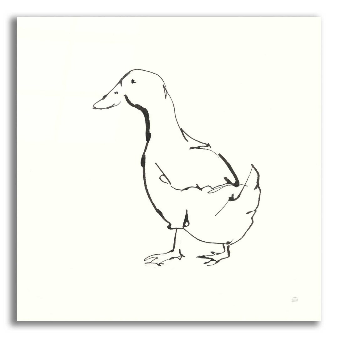 Acrylic Glass Wall Art 'line Duck I' by Chris Paschke - Etsy
