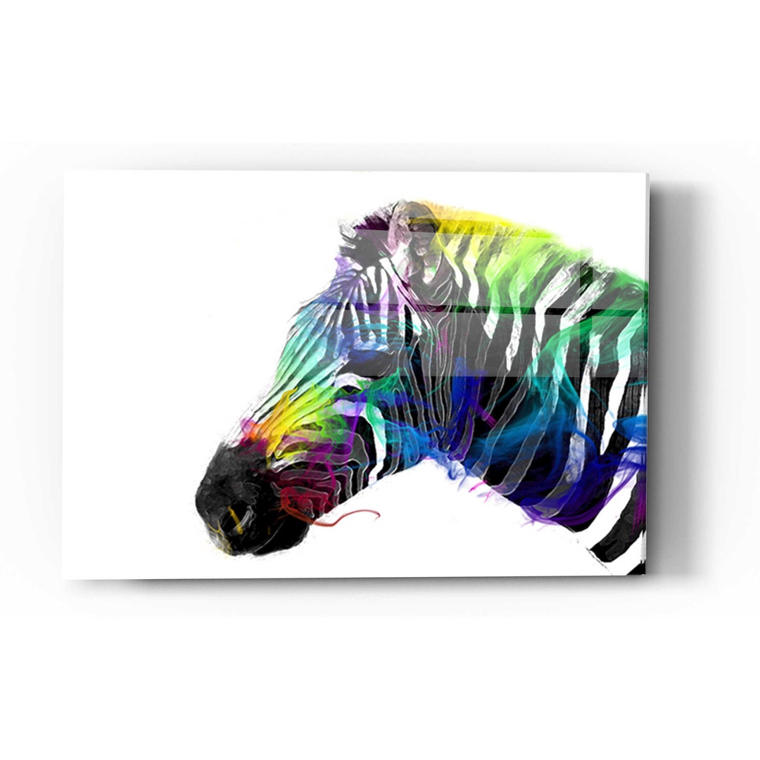 Acrylic Glass Wall Art 'zebra' by Karen Smith - Etsy