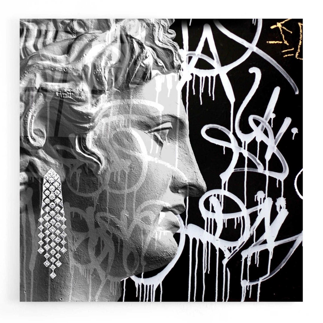 Acrylic Glass Wall Art 'graffiti Bust 2' by Karen Smith - Etsy