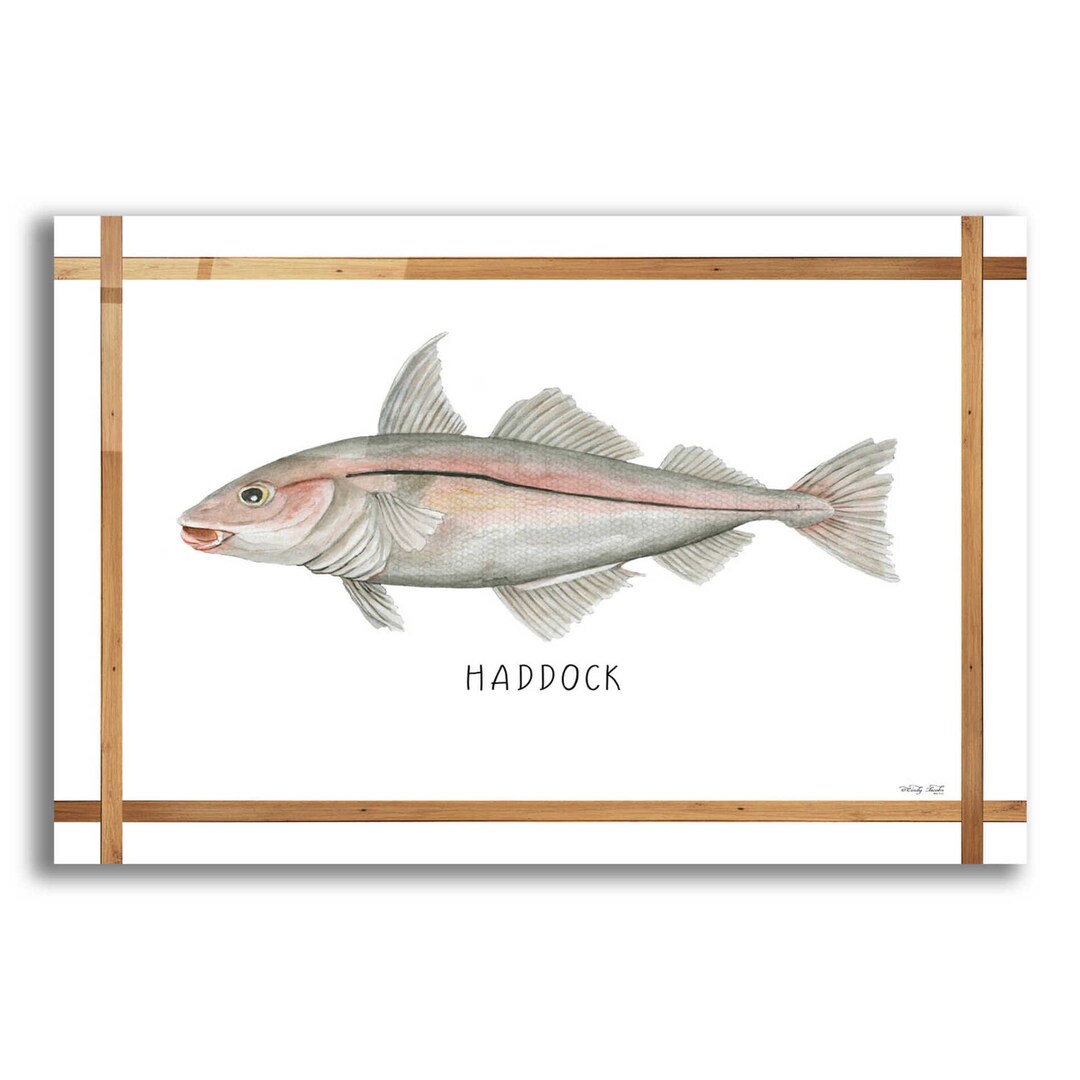 Acrylic Glass Wall Art 'haddock on White' by Cindy Jacobs - Etsy