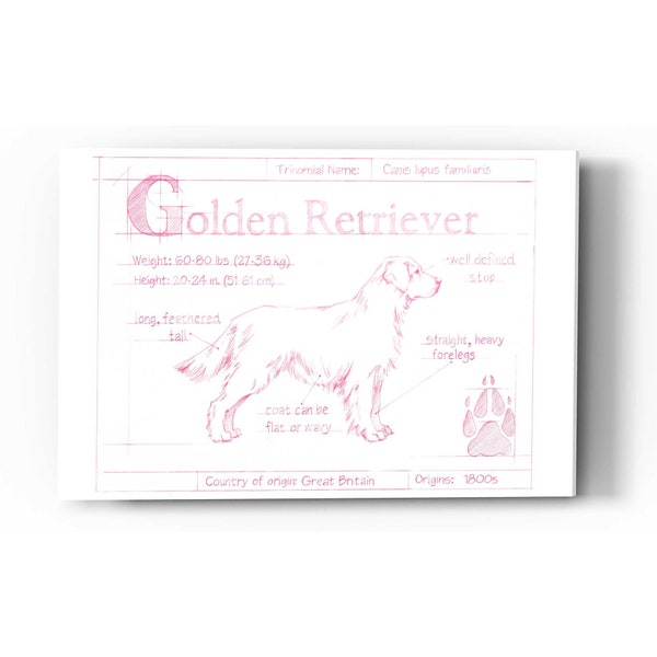 Ethan Harper Art Prints Golden Retriever - Etsy