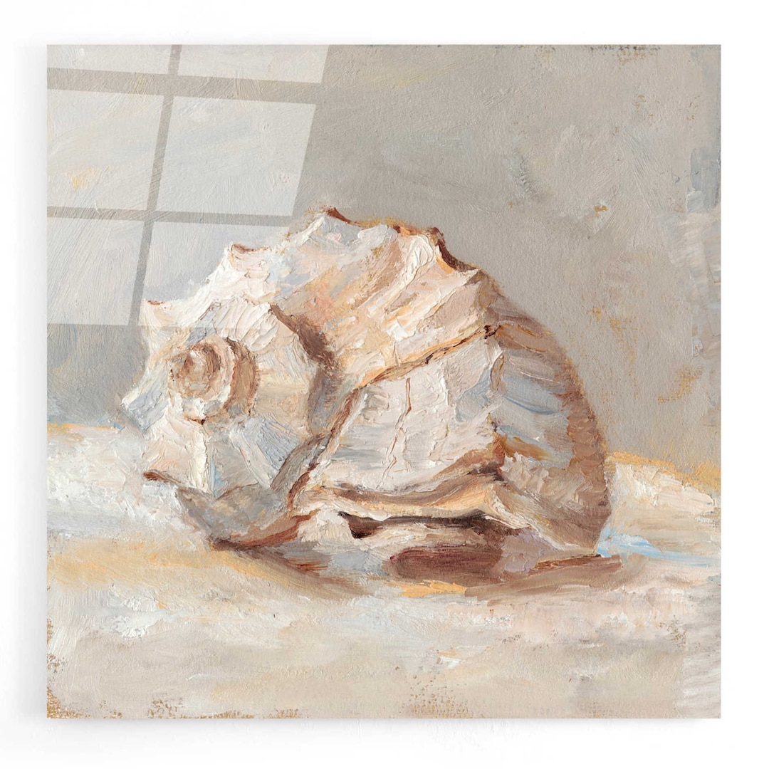 Acrylic Glass Wall Art impressionist Shell Study Ii by Ethan Harper - Etsy